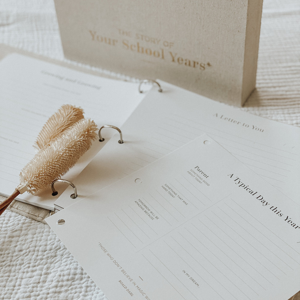 School Years Book | The Co-Journaling Packs — Stellarize Lifestyle ...